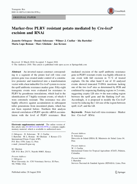 Marker-free PLRV resistant potato mediated by Cre-loxP excision and ...