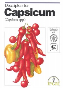 Descriptors for Capsicum (Capsicum spp.) | Alliance Bioversity ...