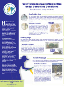 Cold tolerance evaluation in rice under controlled conditions ...