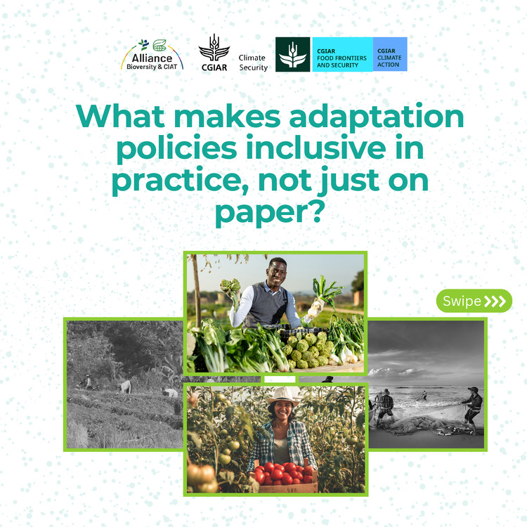 Advancing climate justice: What makes adaptation policies inclusive in ...