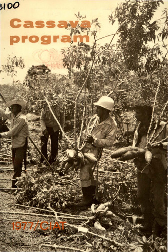 Cassava program 1977 report | Alliance Bioversity International - CIAT