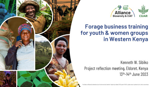 Forage business training for youth and women groups | Alliance ...