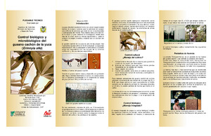 Control biológico y microbiológico del gusano cachón de la yuca ...