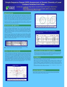 Simple sequence repeat (SSR) assessment of genetic diversity of local cassava varieties from ...