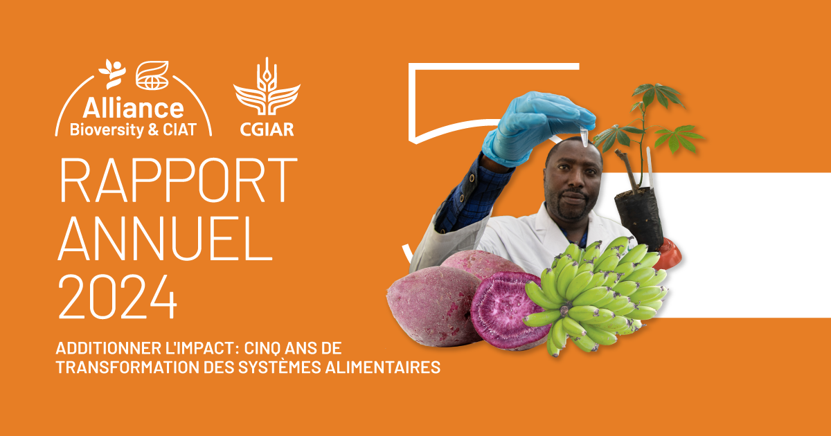 Alliance Recherche et Publications | Rapport annuel 2024