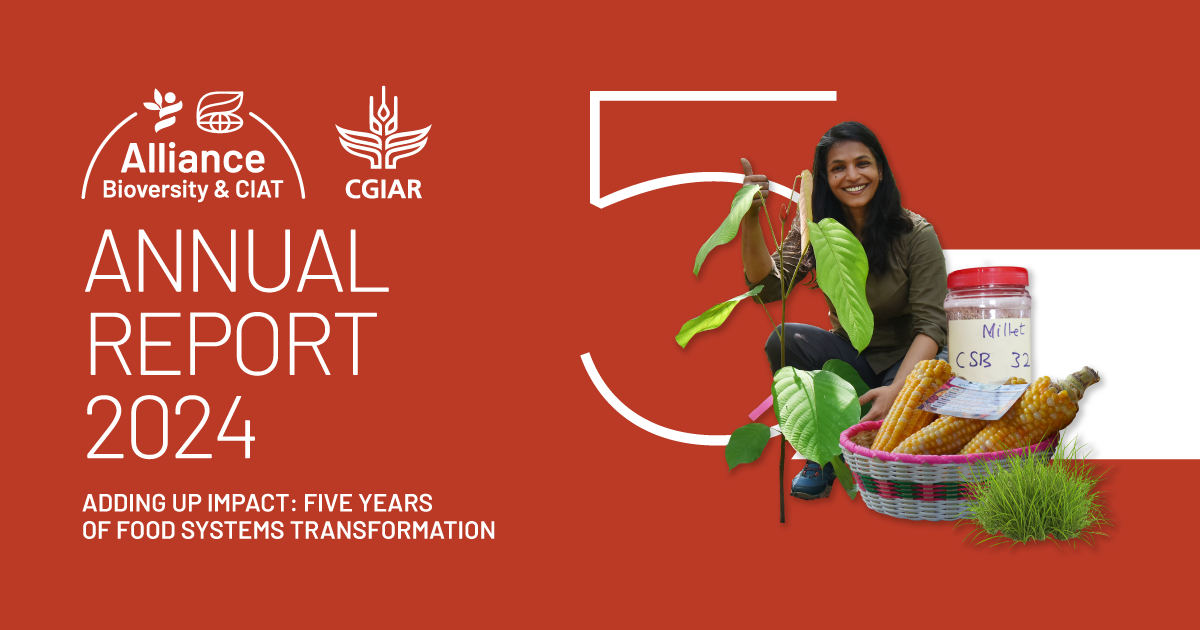 The Alliance Online | Annual Report 2024