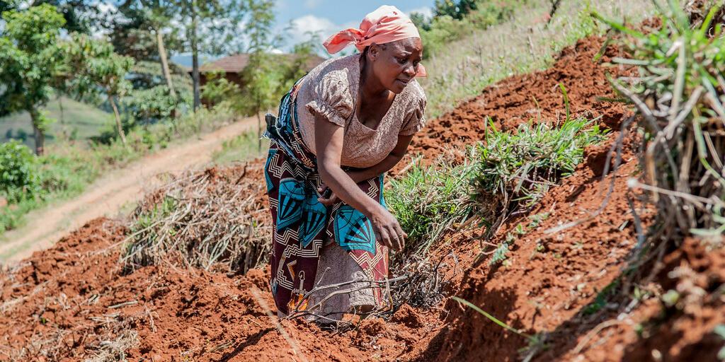 A new project launched: African agriculture adaptation