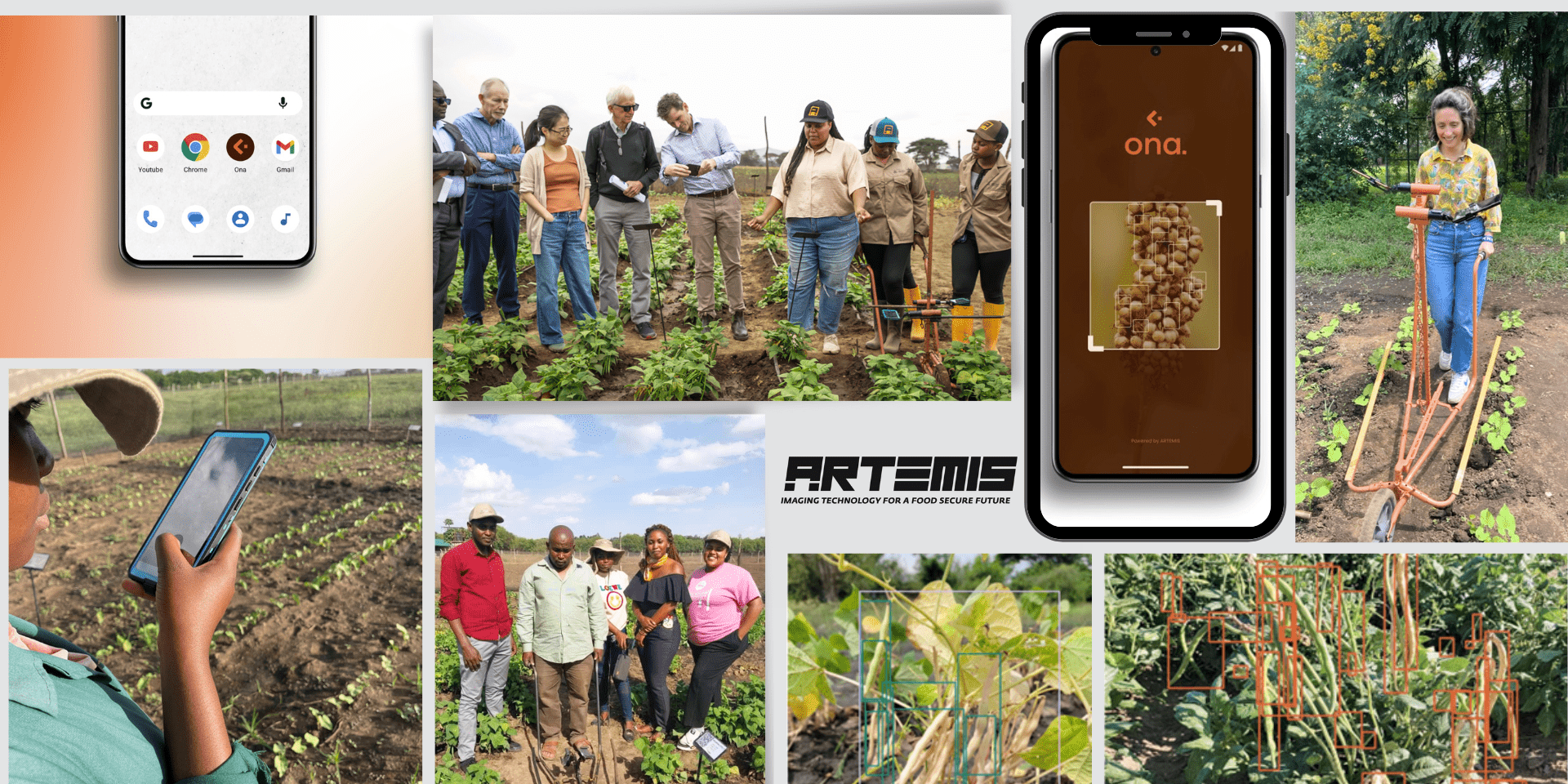 Projet Artemis | Alliance Bioversity International - CIAT
