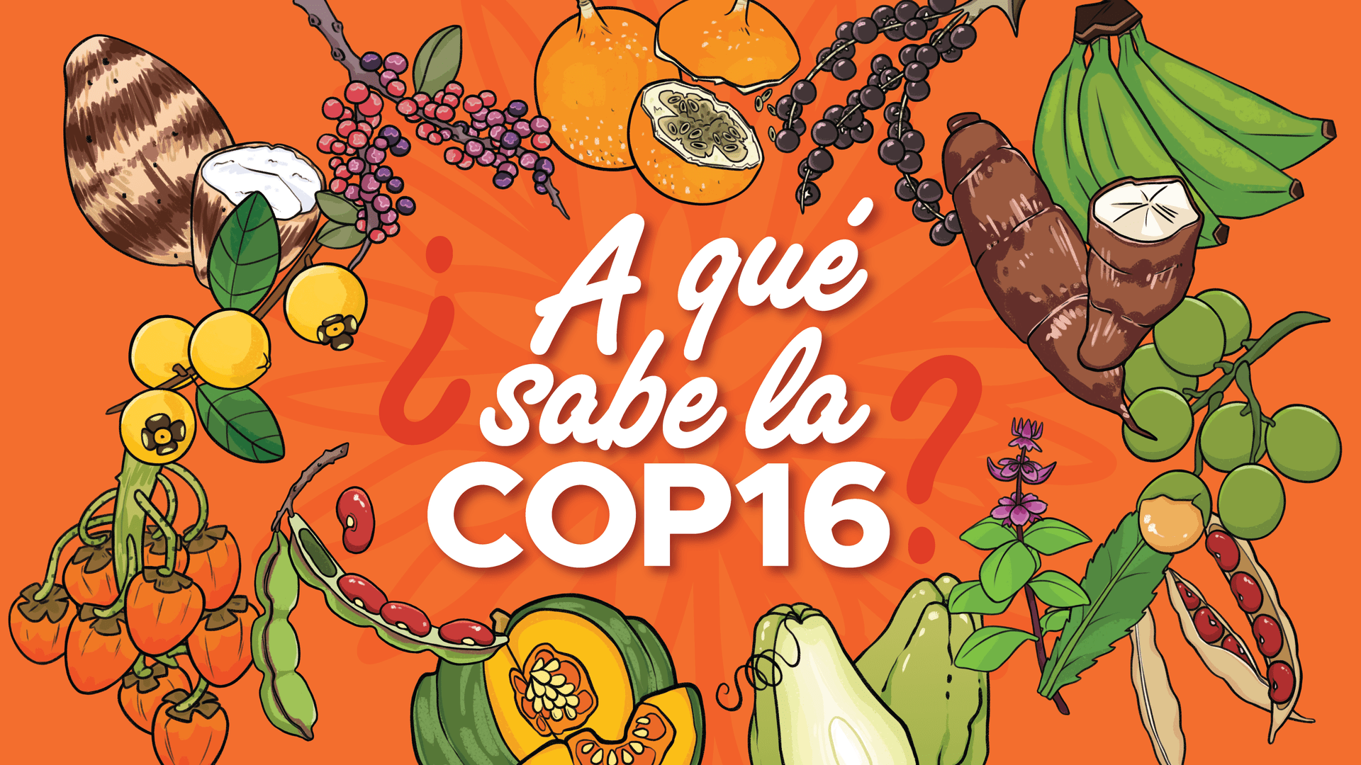 A Qué Sabe La COP 16 | Alliance Bioversity International - CIAT