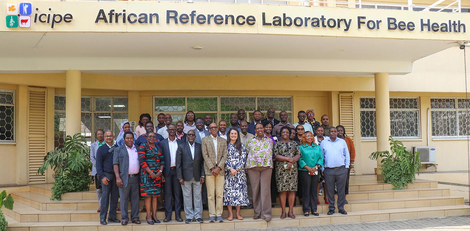 BRAINS at one: Grit, growth, and innovation in Africa