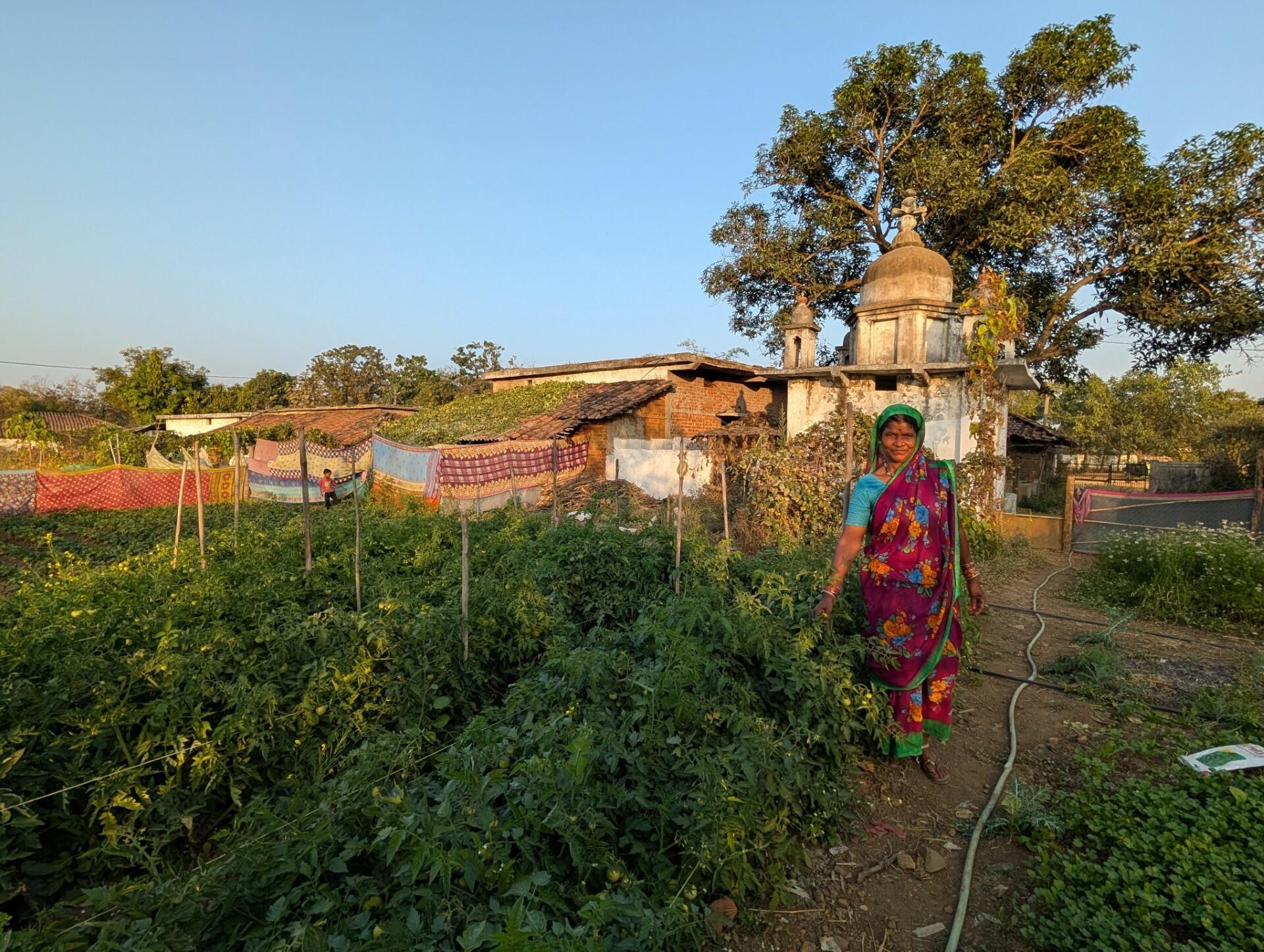 Functional Biodiversity on Farmscapes