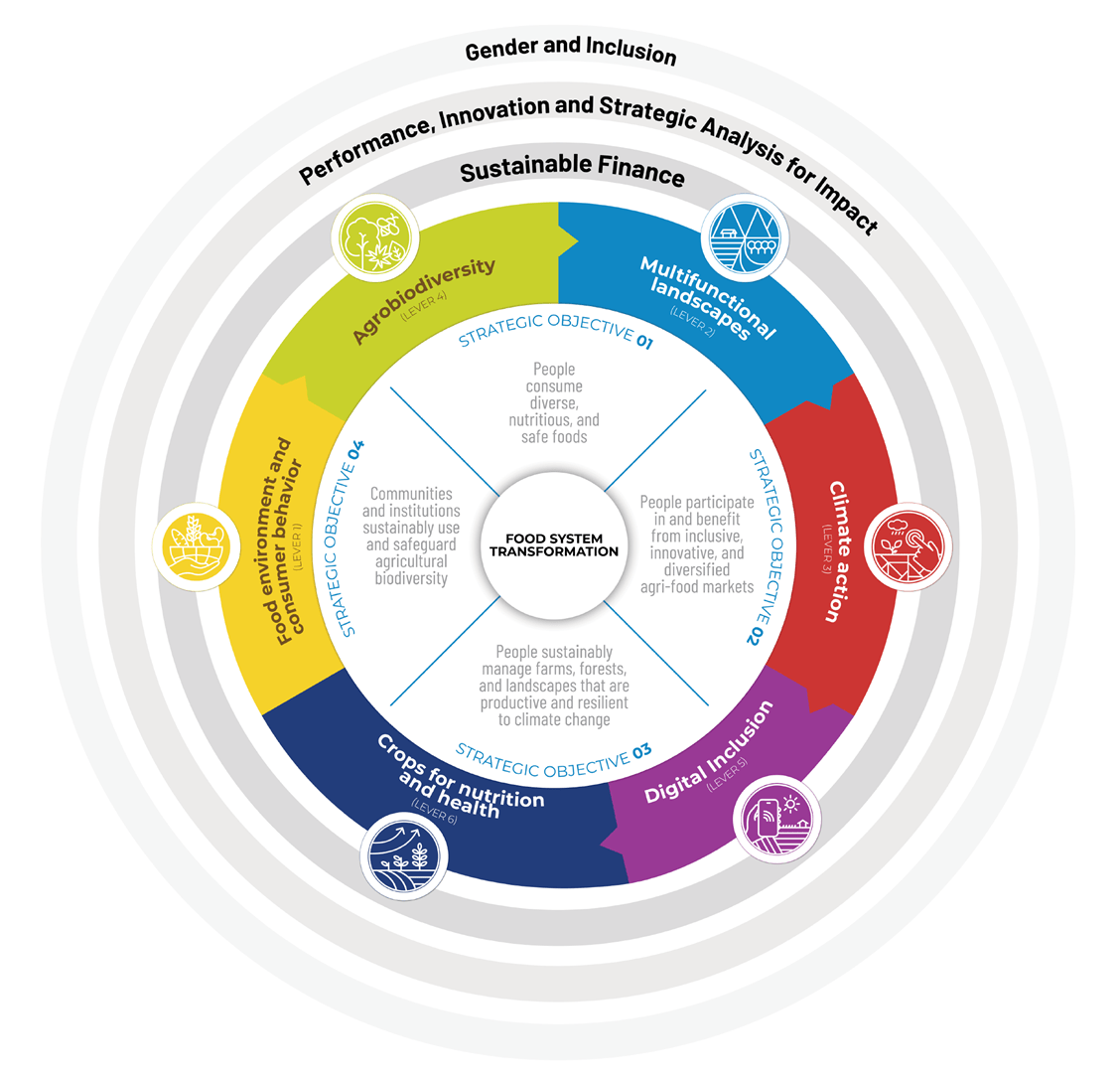 A Roadmap for Food Systems Impact | Annual Report 2024