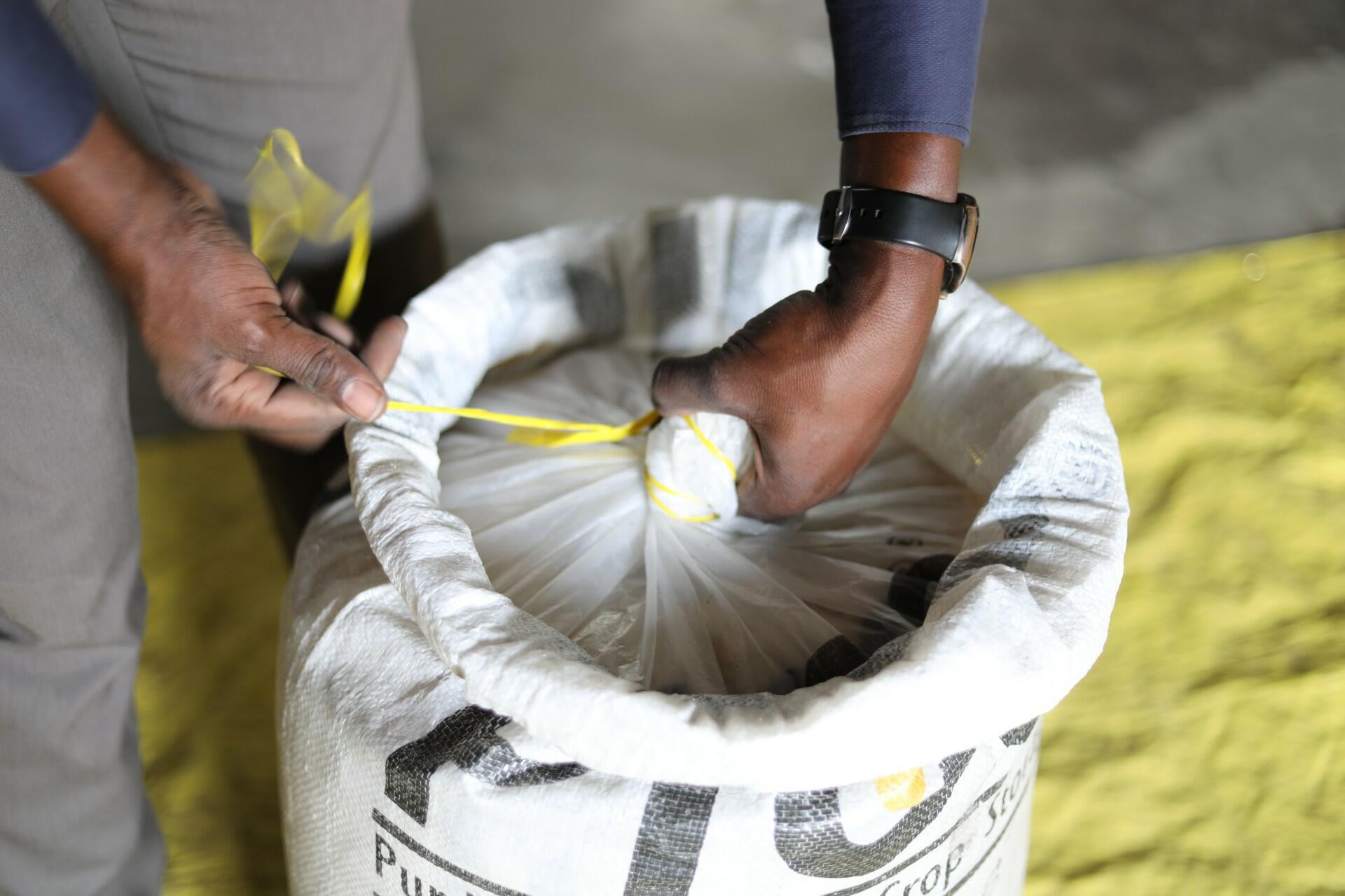 Accelerating Impact With Pics Bags to Protect Harvests