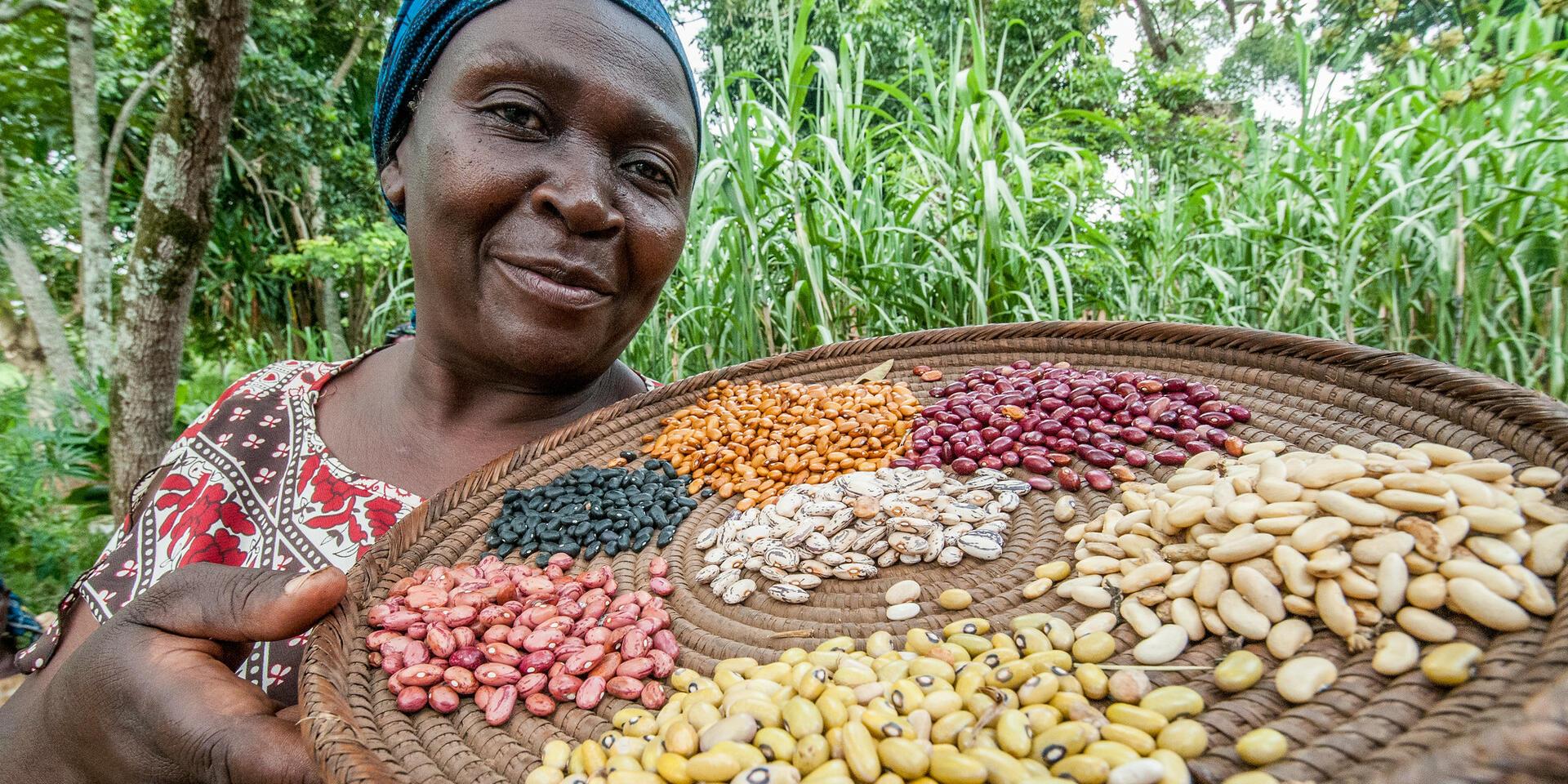 Beans | Alliance Bioversity International - CIAT