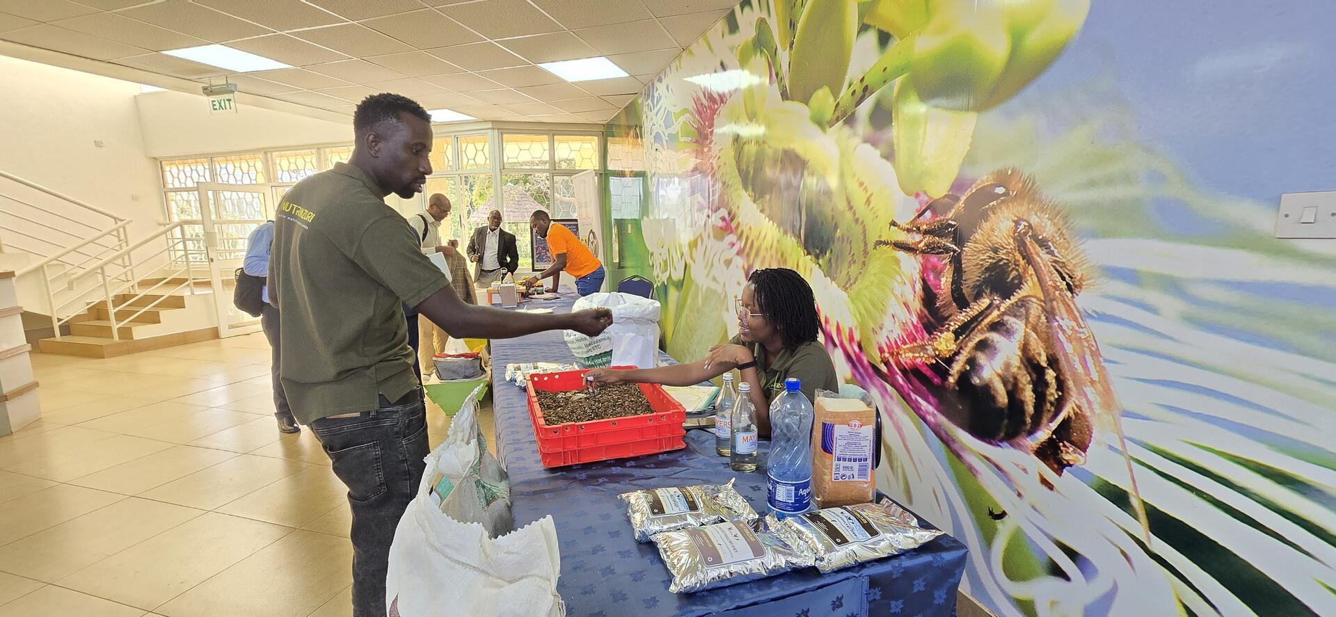BRAINS at one: Grit, growth, and innovation in Africa
