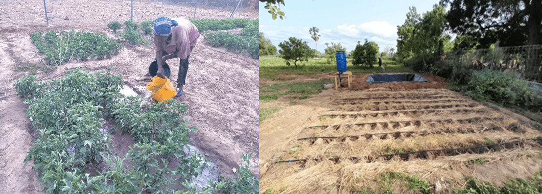 Building resilient farms in Senegal