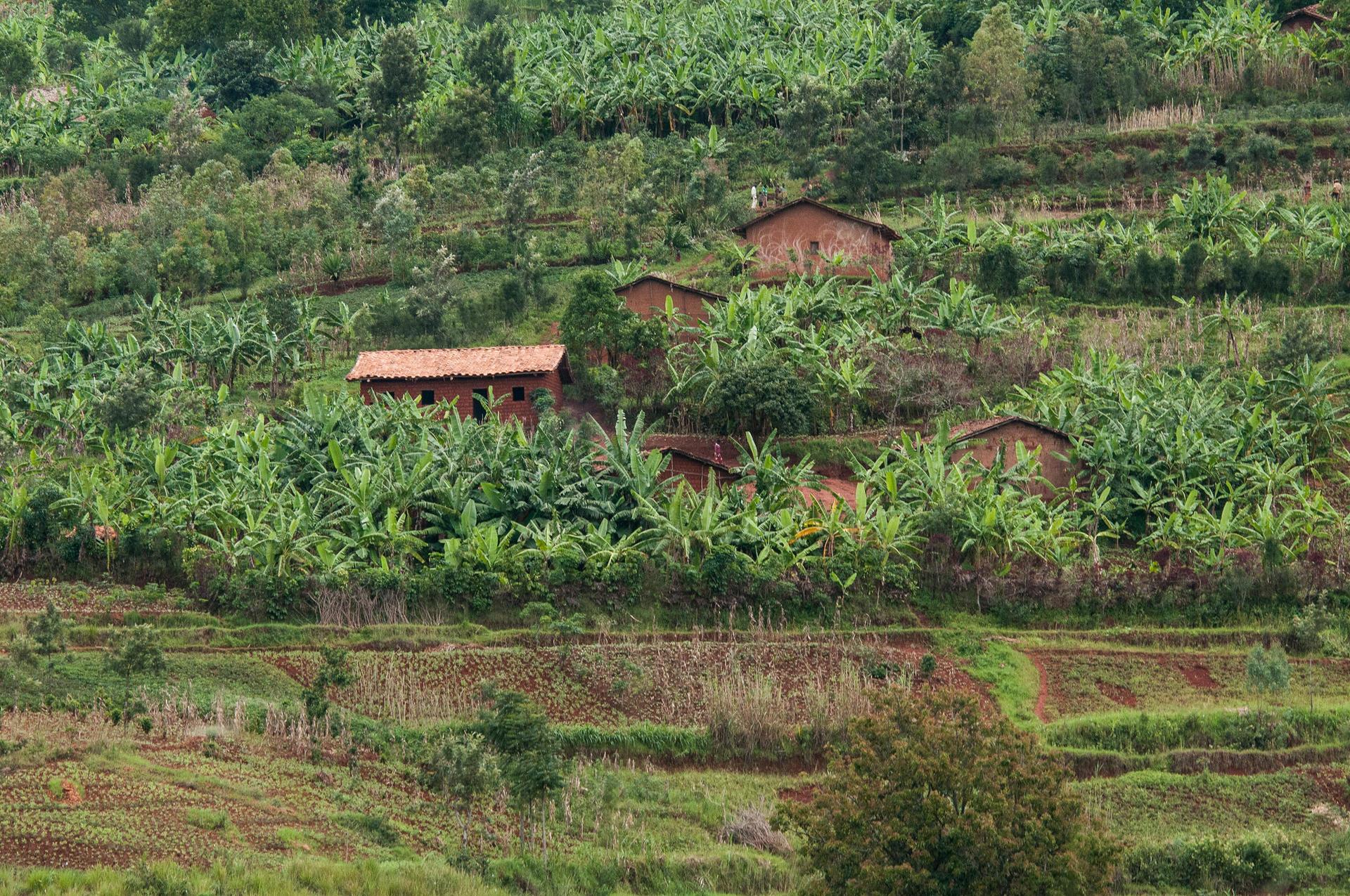 Burundi | Alliance Bioversity International - CIAT