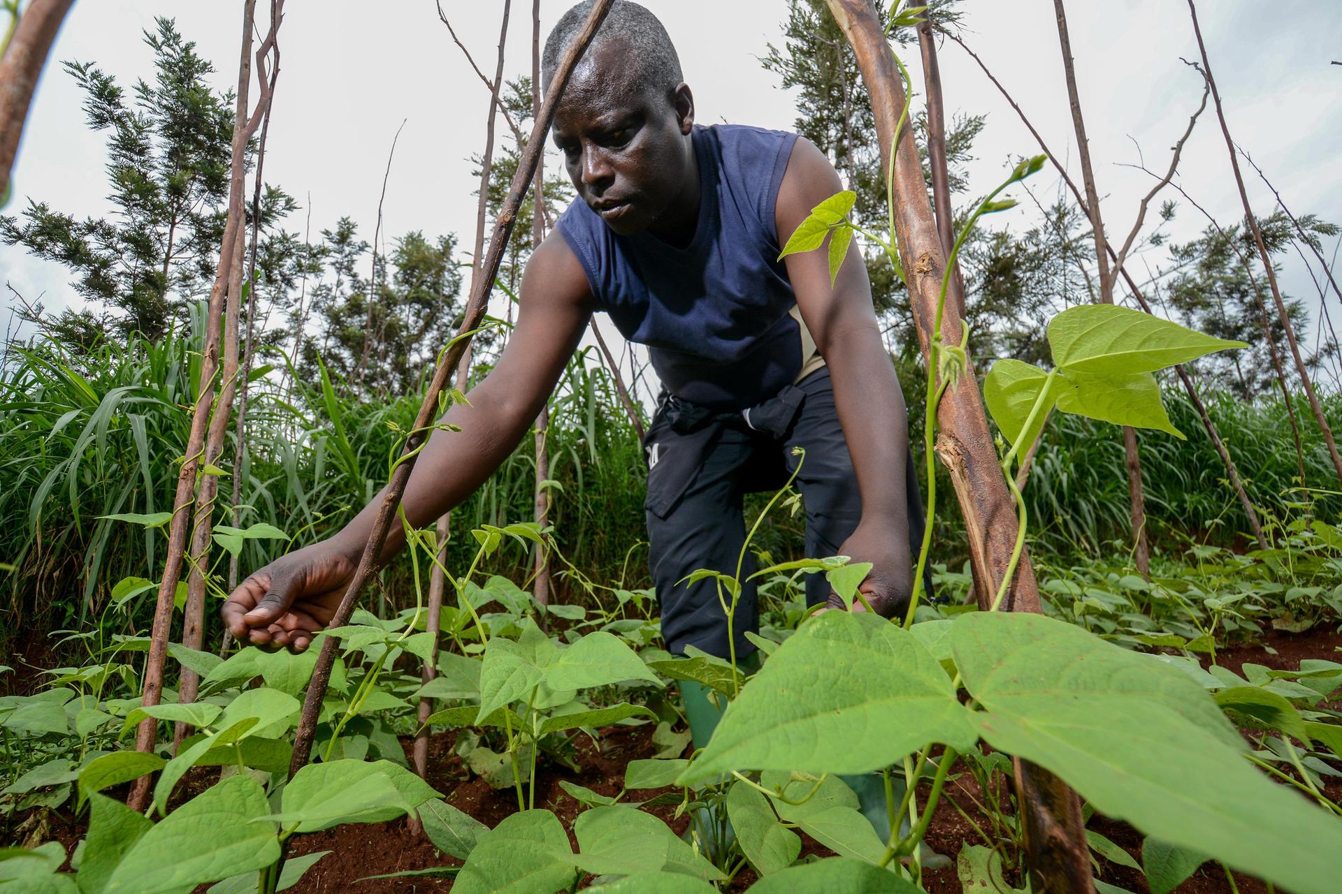 Burundi | Alliance Bioversity International - CIAT