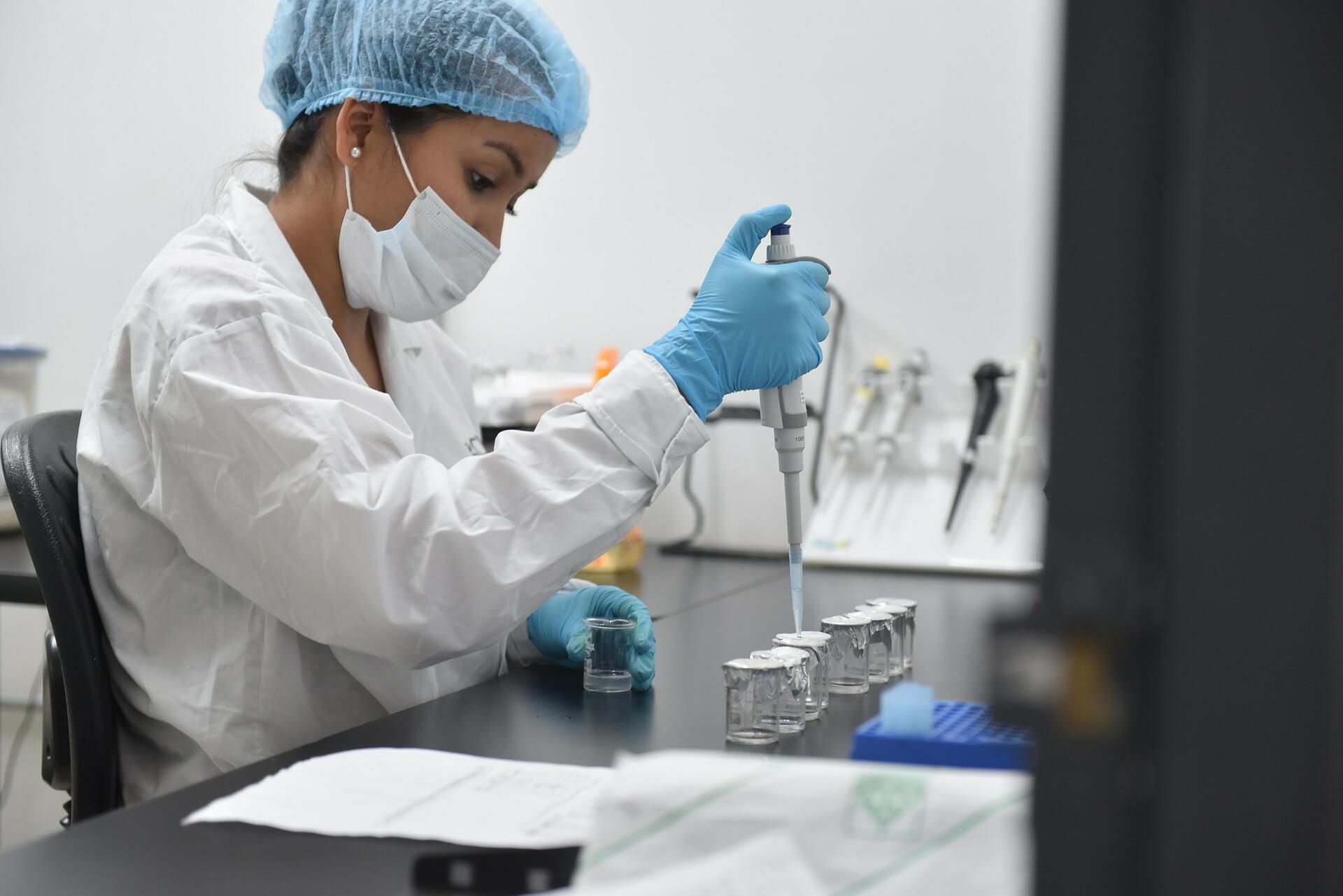 CRISPR and Genetic Scissors: Gene Editing for Food Security