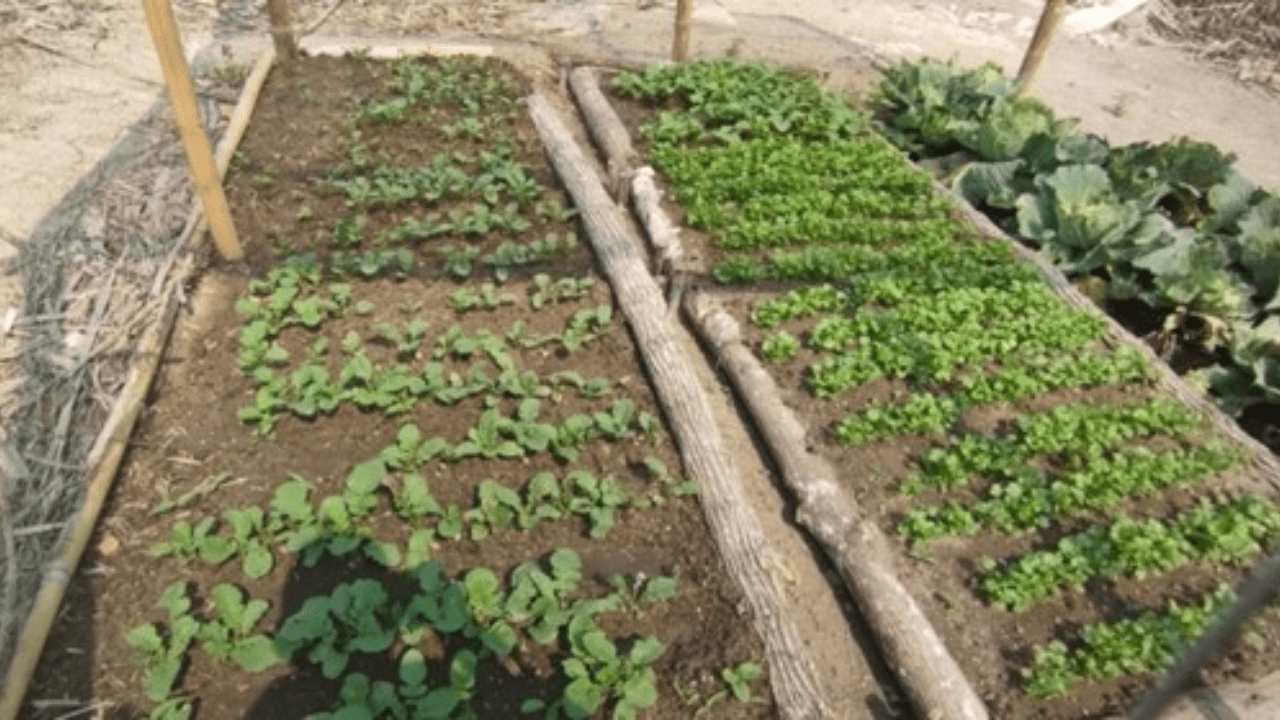 Climate Smart Villages in Guatemala and Honduras as Local Innovation ...