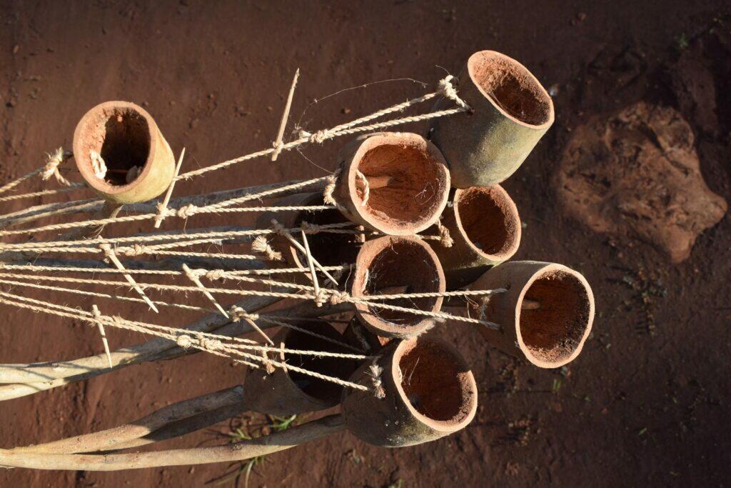 Traditional crops for nutrition, heritage and resilience