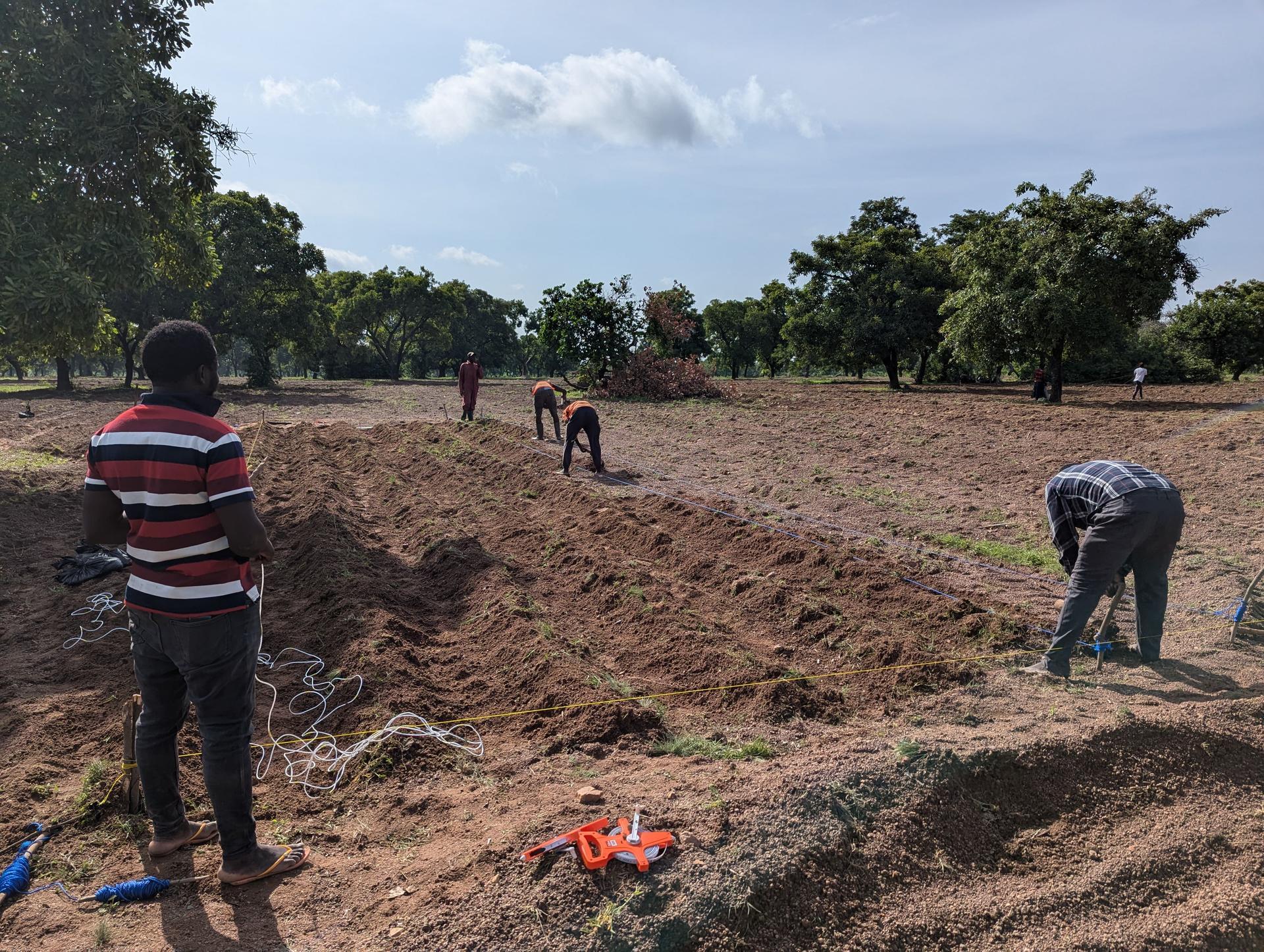 Establishing Demonstration Farms in Ghana