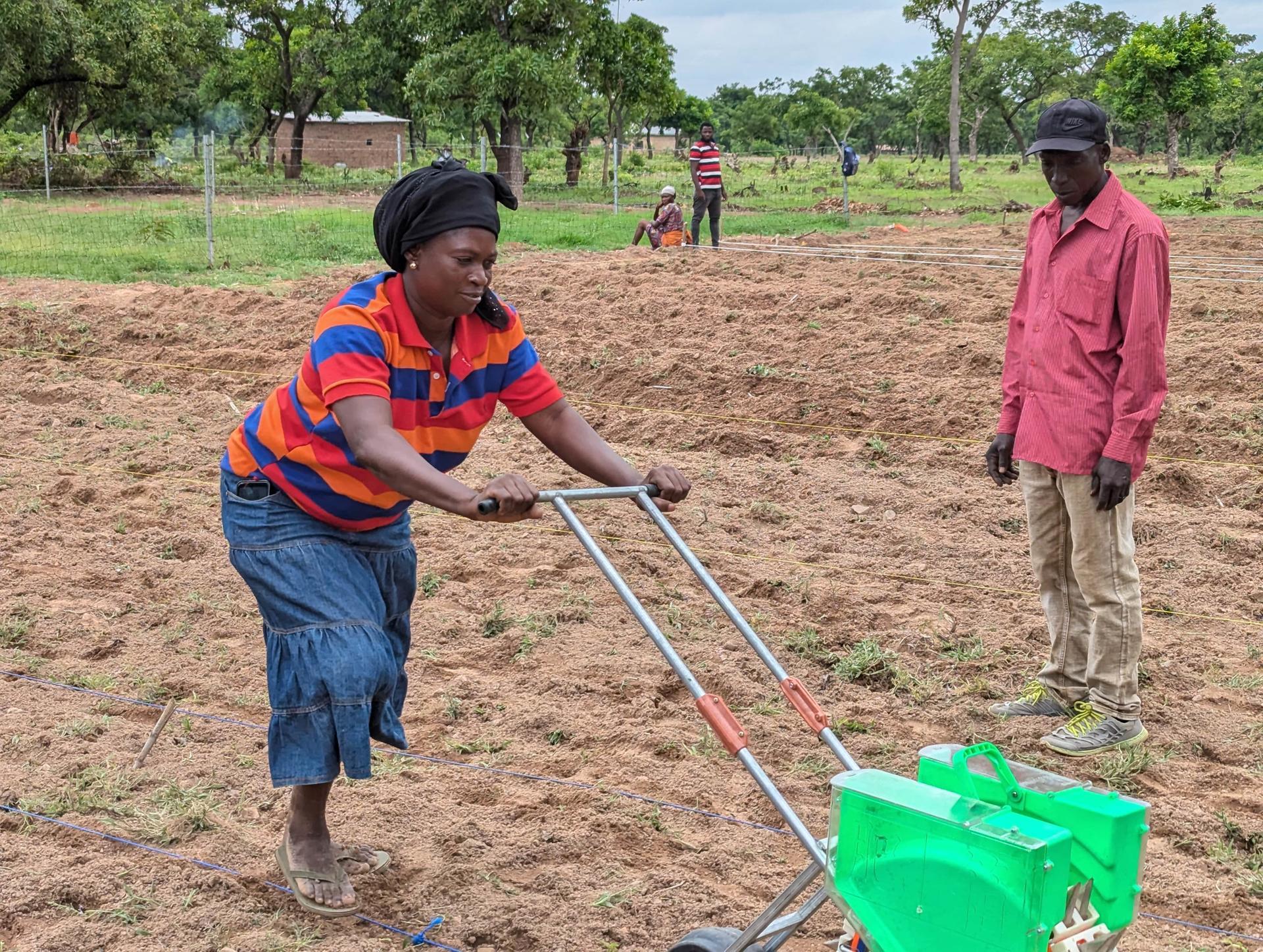 Establishing Demonstration Farms in Ghana