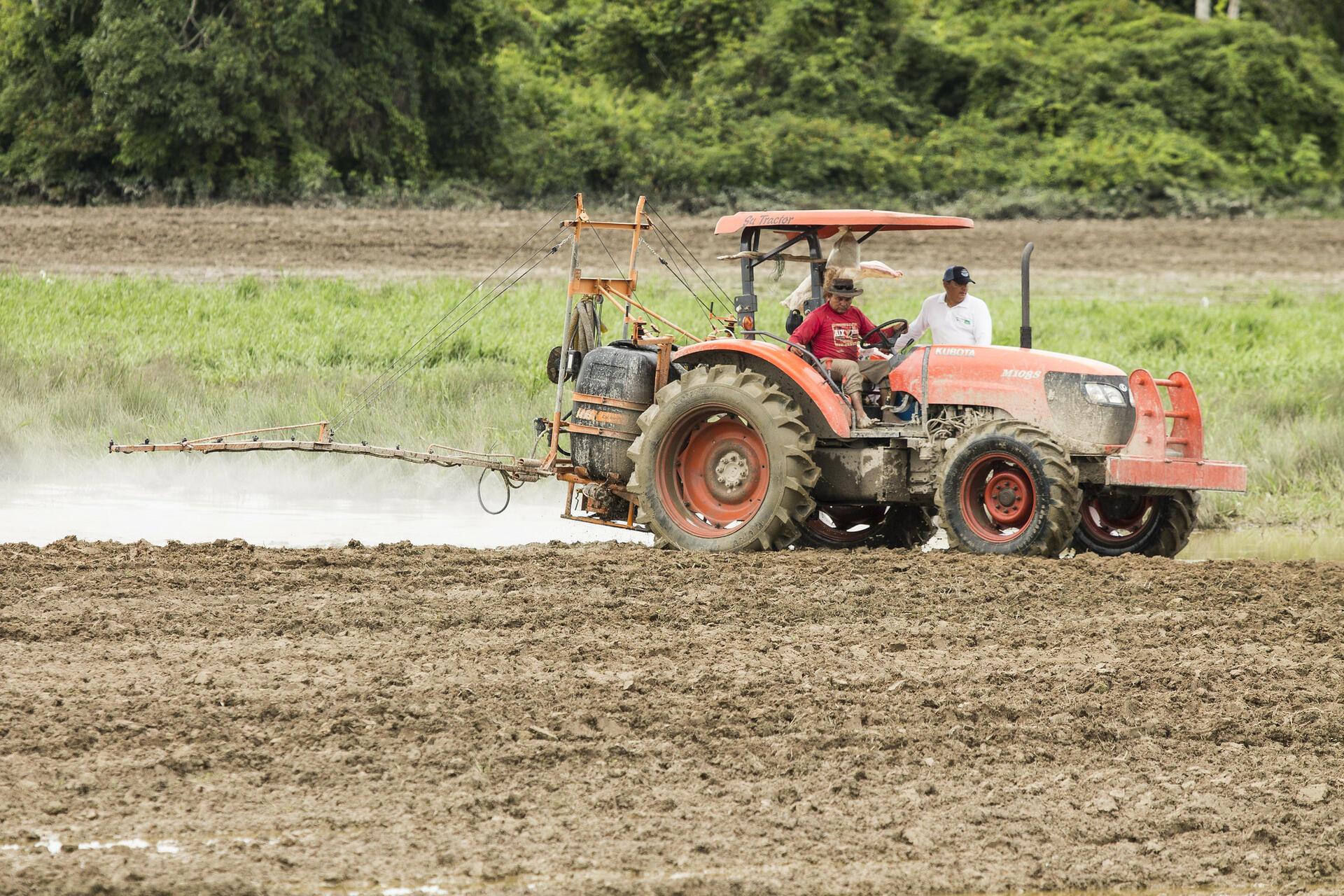 Exploring the effects of the green revolution on agriculture