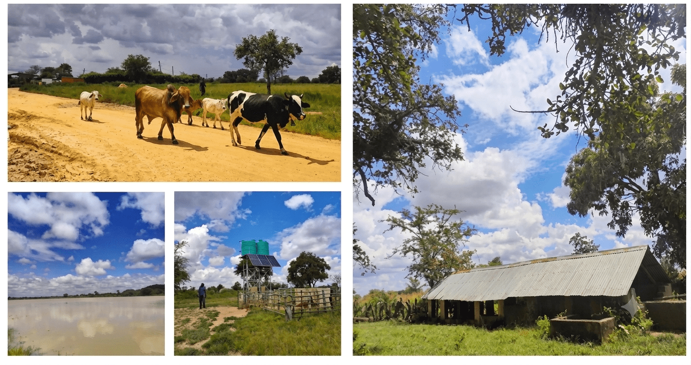 How communities are turning grazing knowledge into digital maps