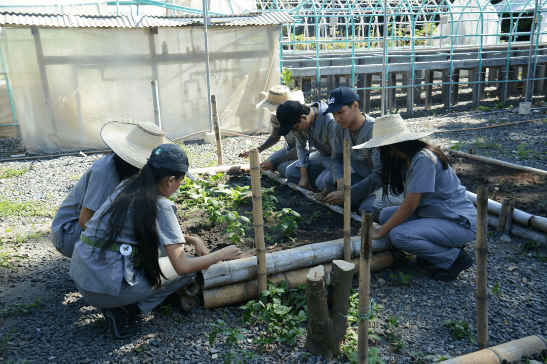 Geoffrey Hawtin Empowering Future Innovators