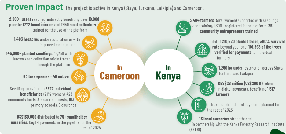 The impact of the My Farm Trees project