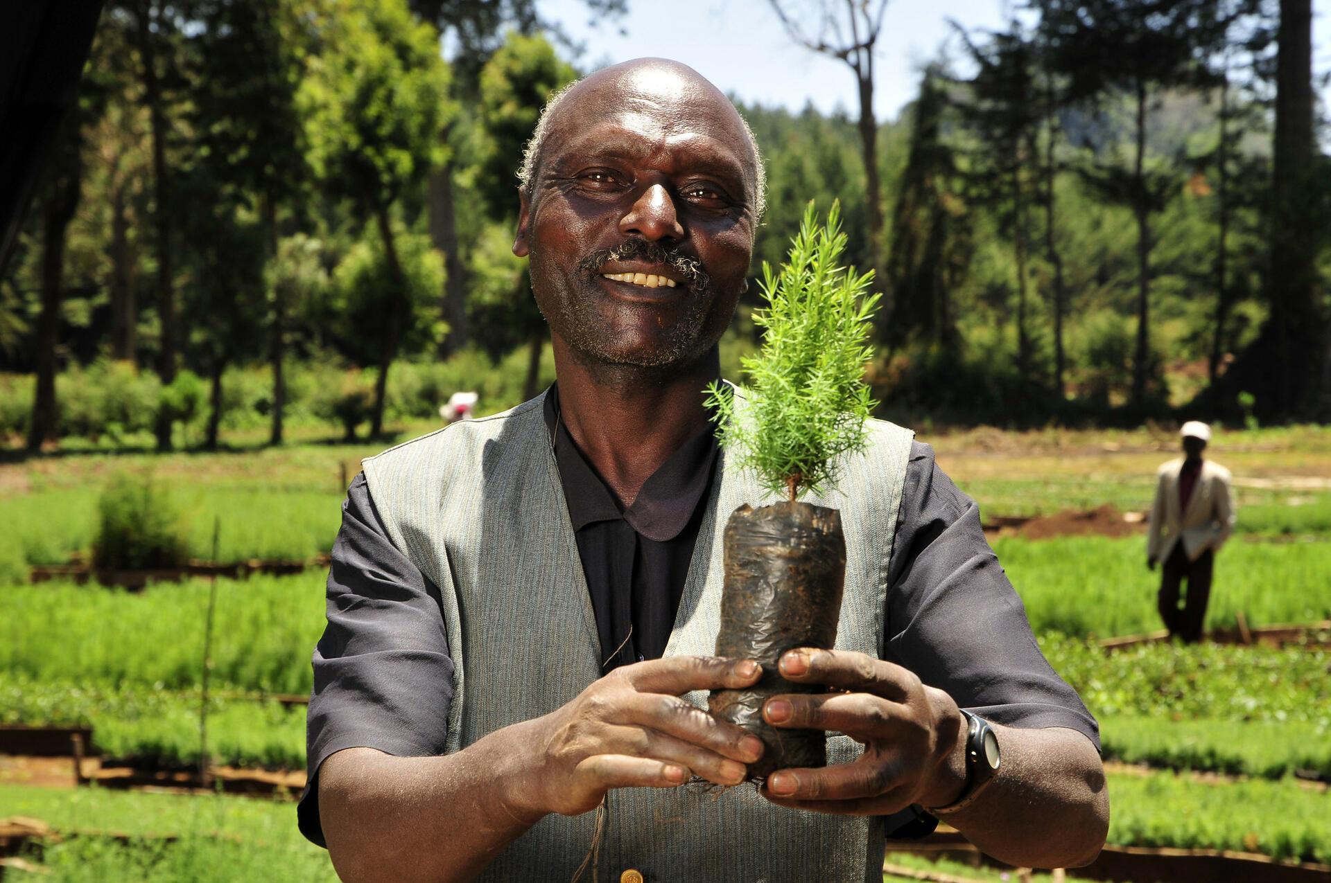 How Indigenous Vegetables Are Changing Kenya's Food Systems