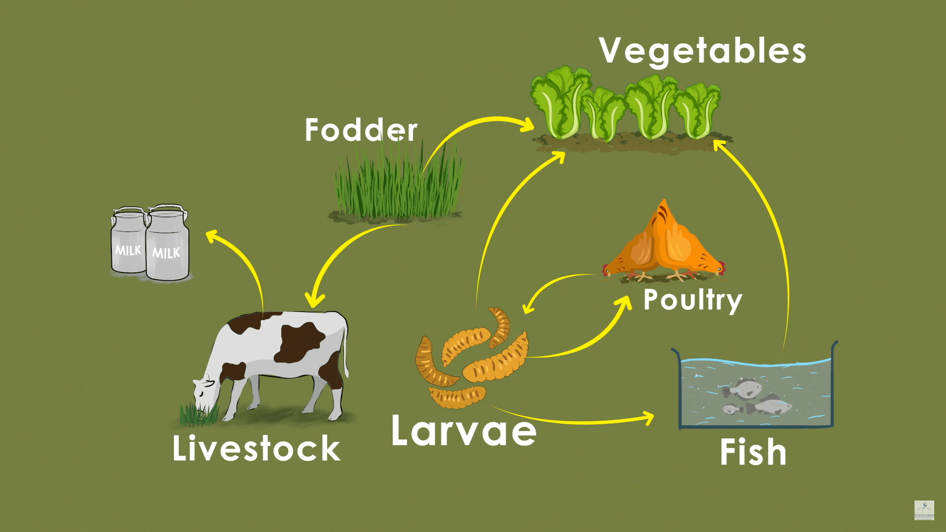 How Kenyan Farmers Are Shaping a Resilient Future