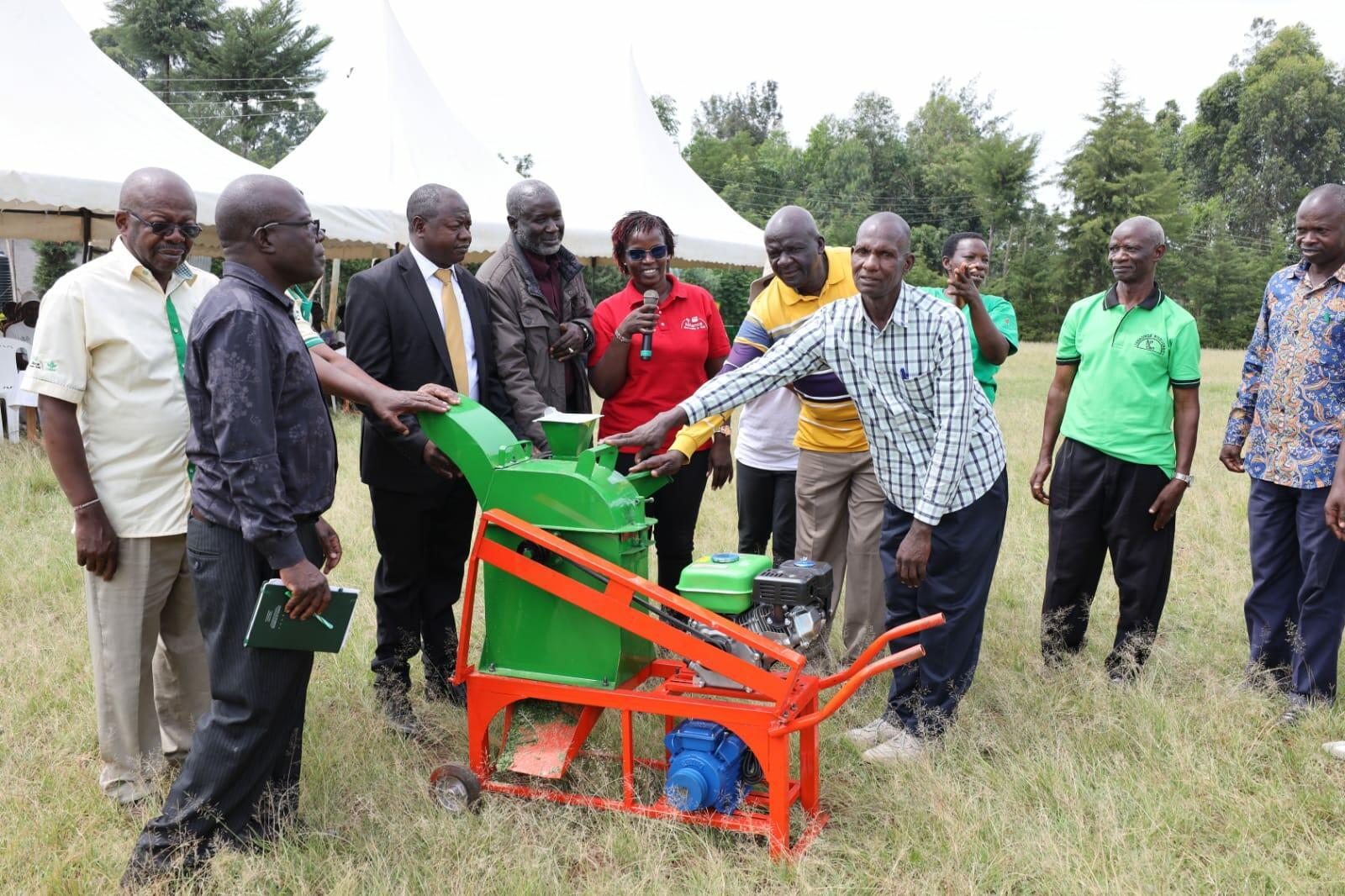Kenya: Strengthening the livestock sector through improved fodder