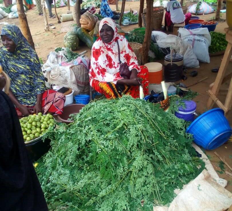 Making Market Information Work for Neglected Crops in Niger