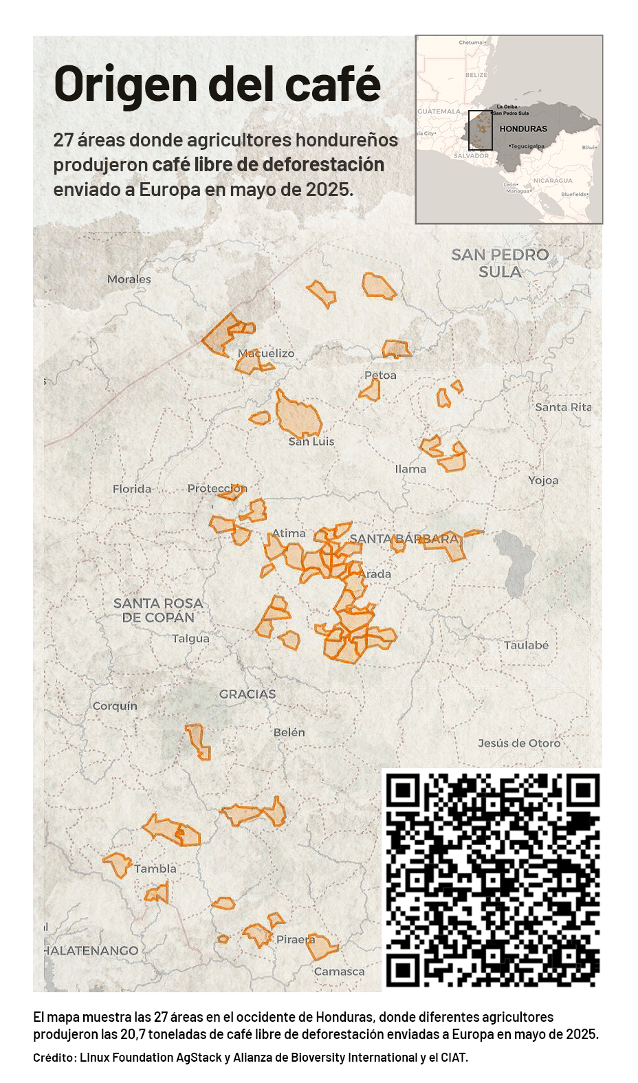 Envío de café hondureño que cumple con las normas europeas contra