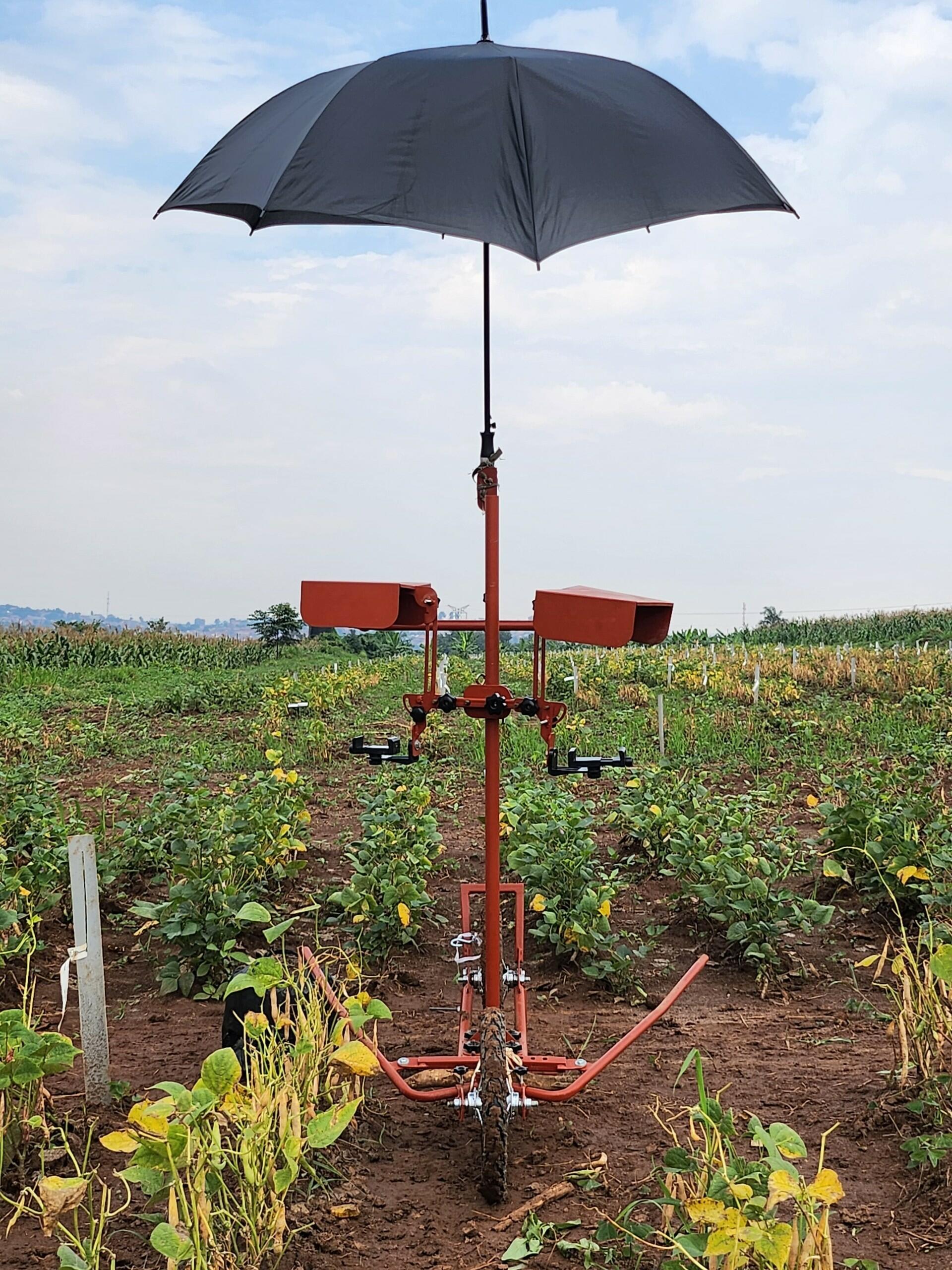 BRUNO: The new AI Robot Revolutionizing Bean Breeding