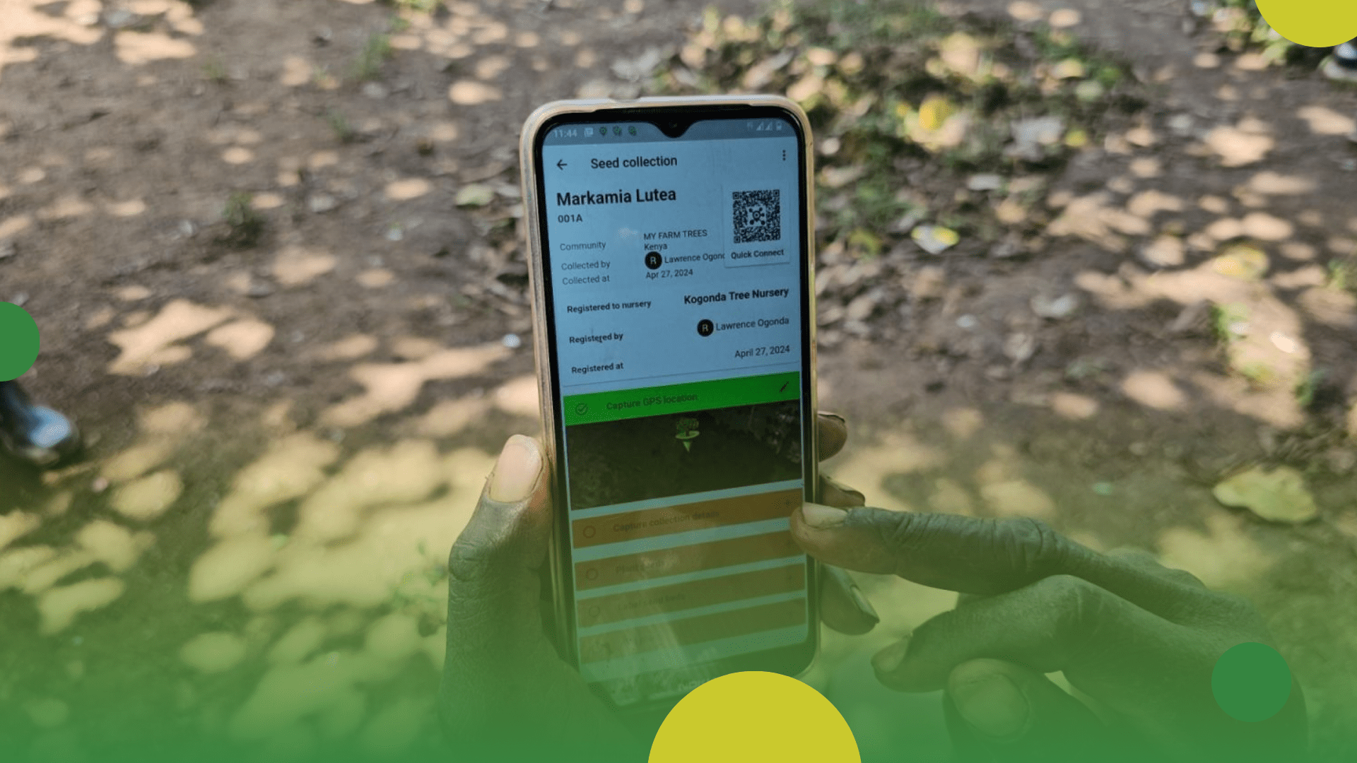 My Farm Trees | Alliance Bioversity International - CIAT