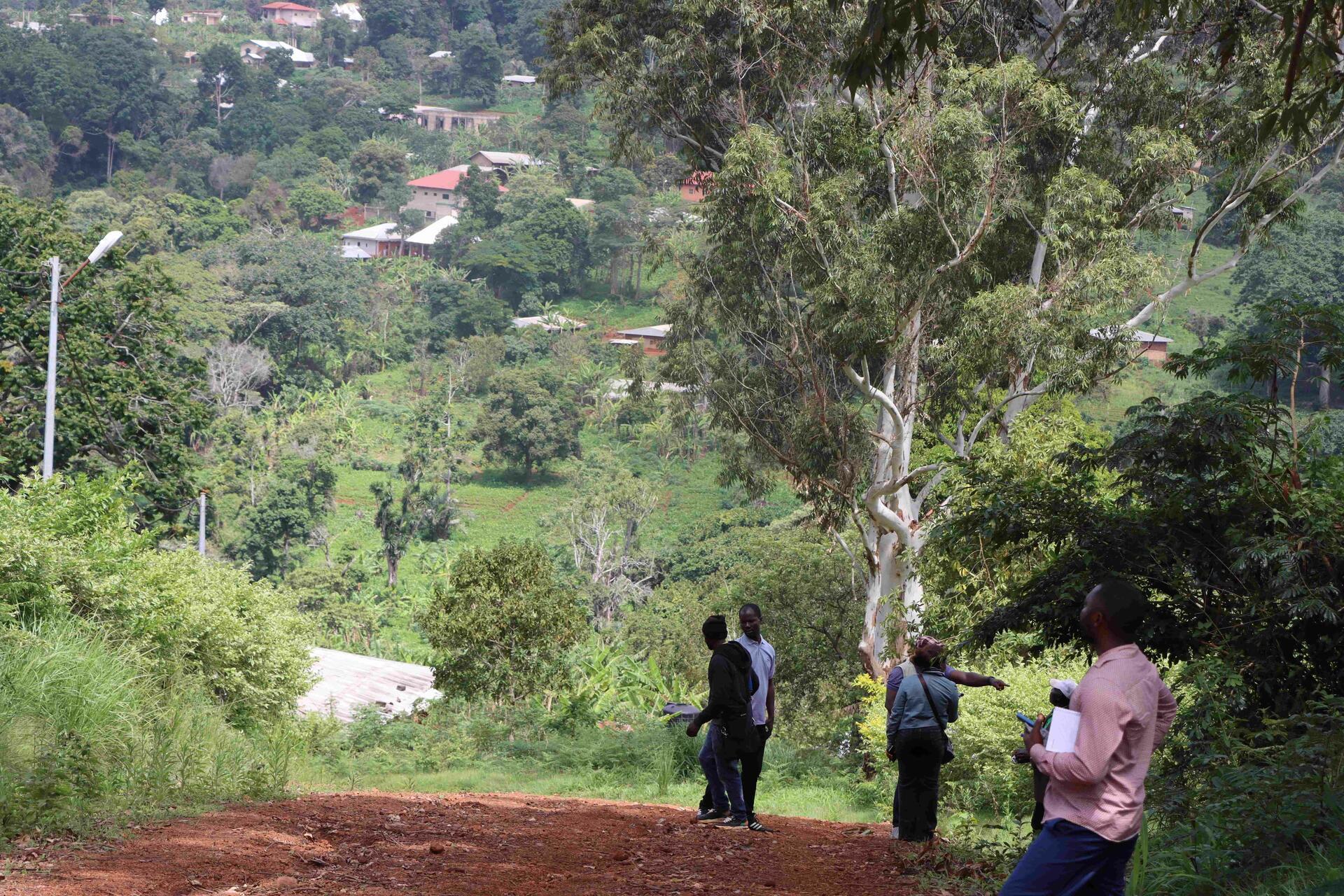 MyFarmTrees in Cameroon: Science, tradition, and forest