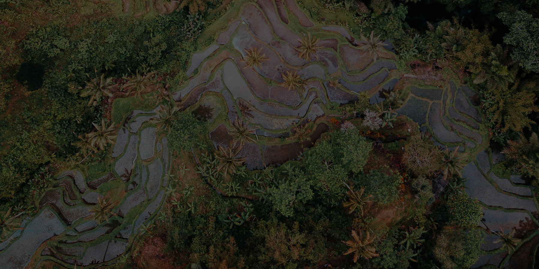 Home page | Alliance Bioversity International - CIAT