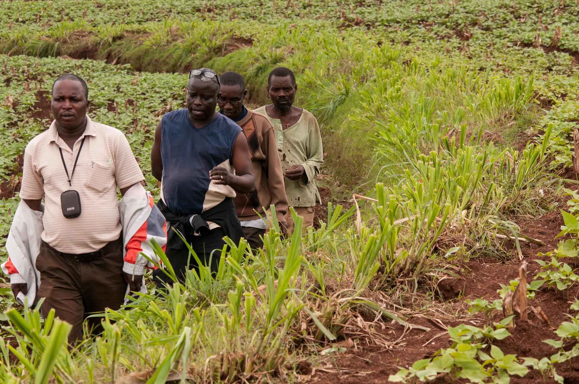 Projects and Flagship Initiatives in Burundi
