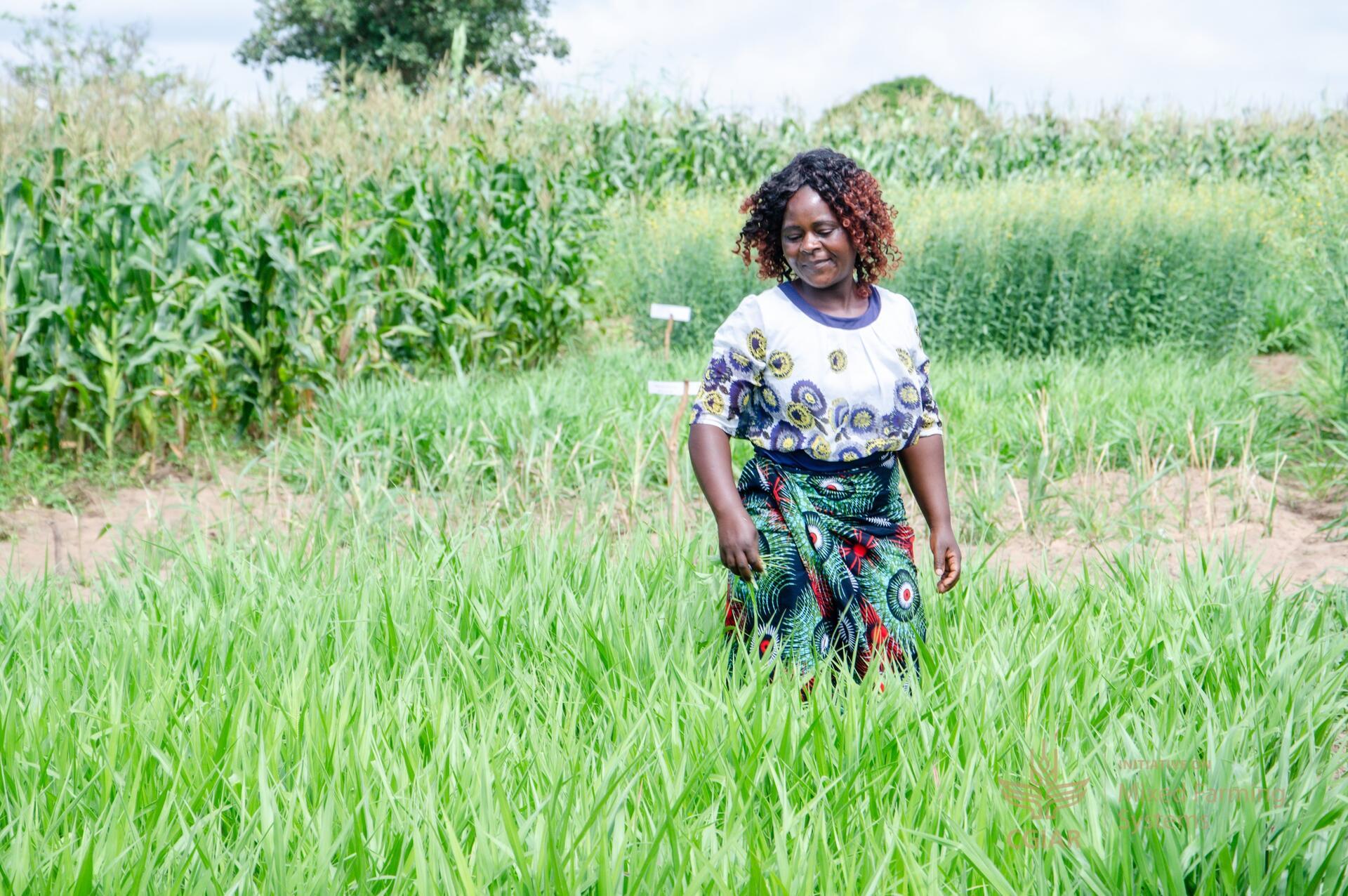 Projects and Flagship Initiatives in Malawi