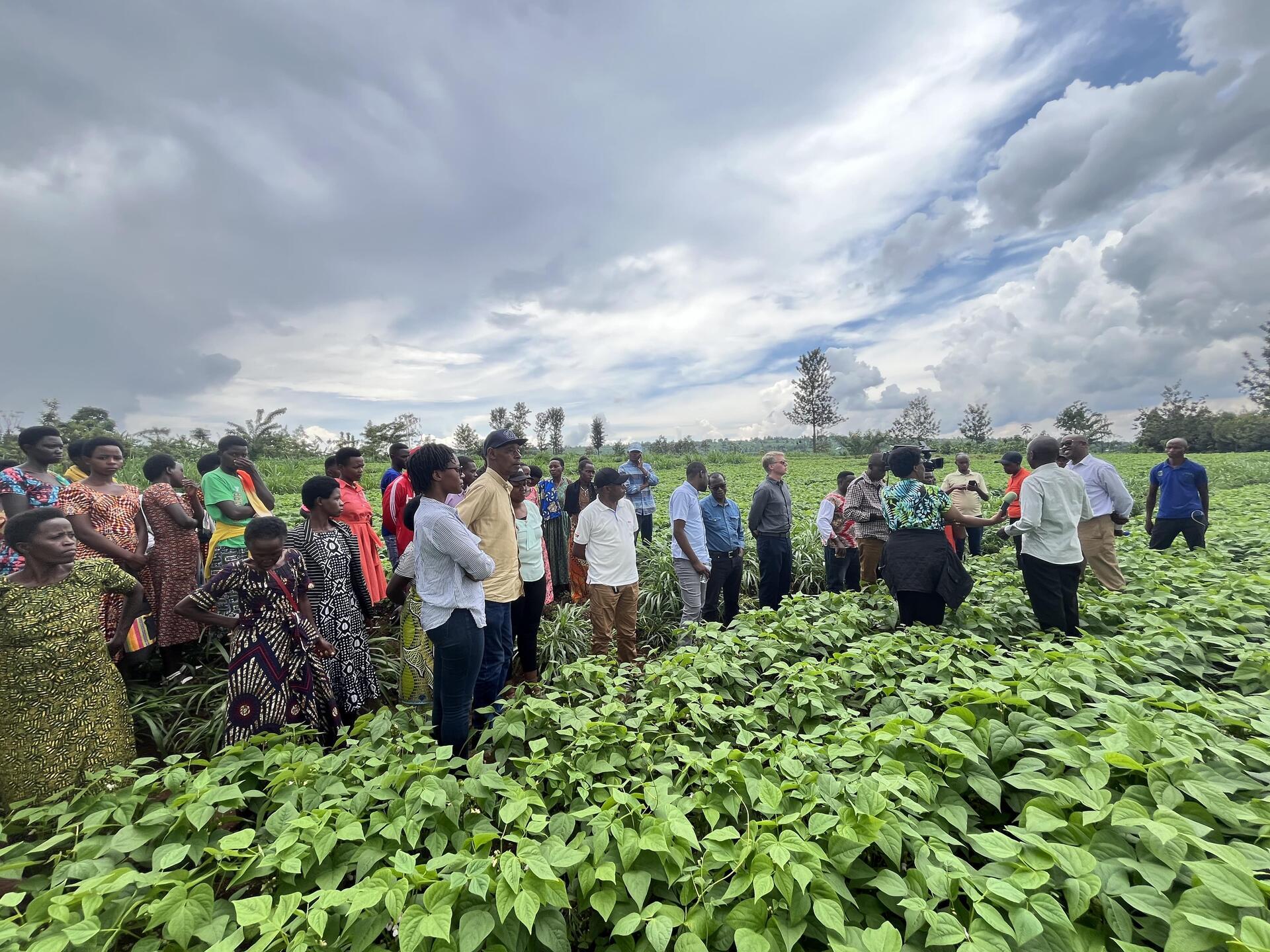 Smart Farming with Weather and Climate Information