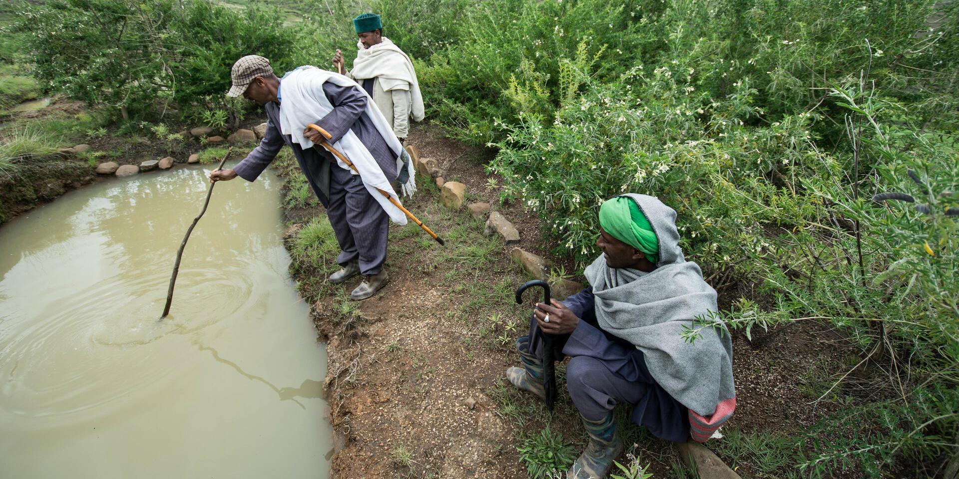 User-Centered Water and Pasture Monitoring