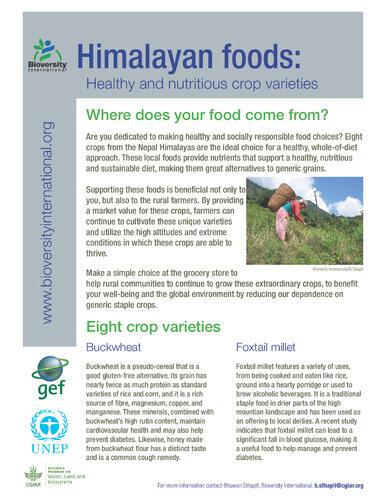 Himalayan Agroecology Initiative: Sustainable Food Systems