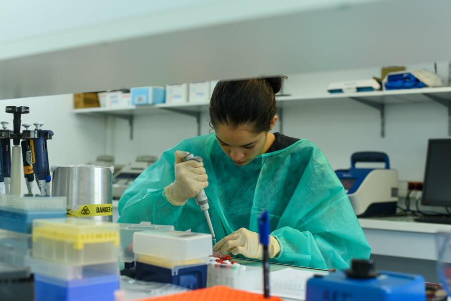 Cassava Witches’ Broom Disease takes flight in South America