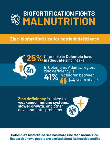 Colombia’s biofortified rice has untapped potential to improve nutrition