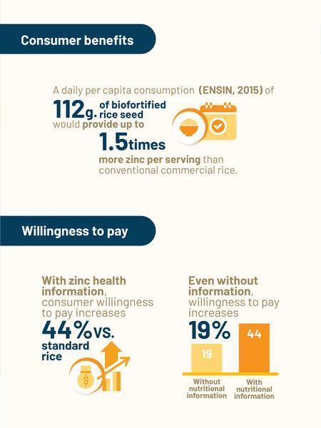 Colombia’s biofortified rice has untapped potential to improve nutrition