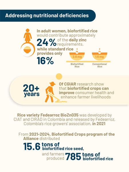Colombia’s biofortified rice has untapped potential to improve nutrition