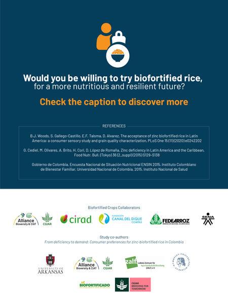 Colombia’s biofortified rice has untapped potential